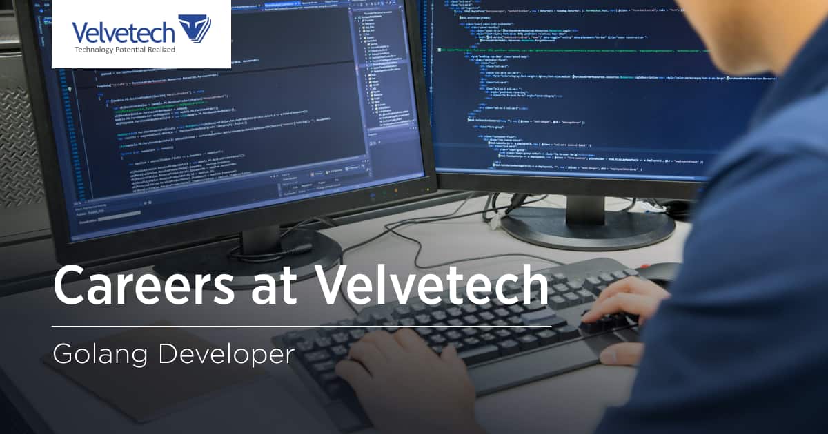 Golang Developer Careers Velvetech 